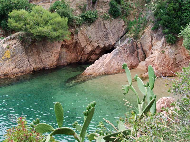 Platges I Cales De Sant Feliu De Guíxols - Sóc Sant Feliu De Guíxols